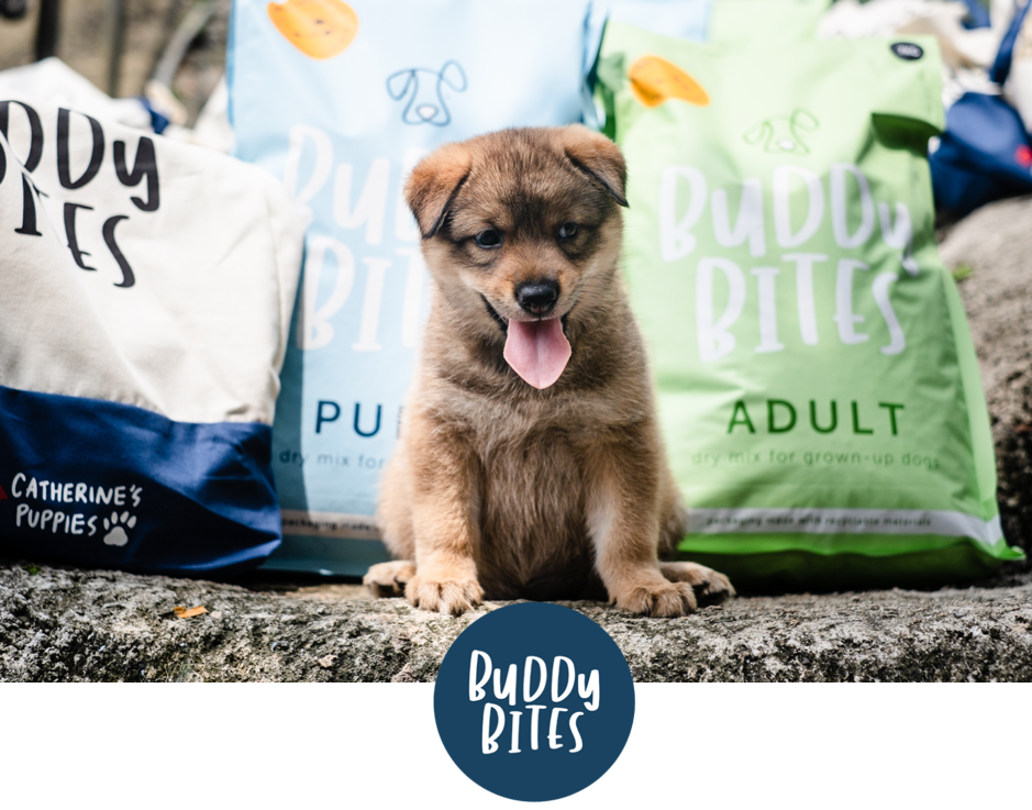 Month One Donations- 50% of Catherine's Puppies Covered – Buddy Bites SG