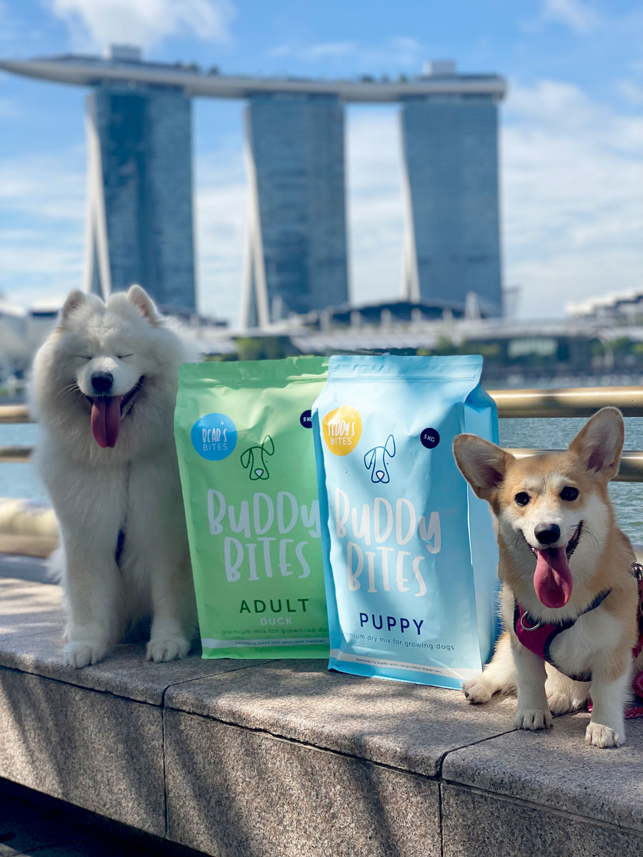 About – Buddy Bites SG