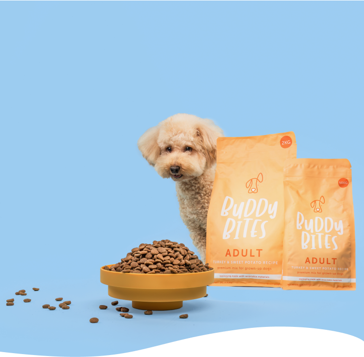 Nutrition – Buddy Bites SG