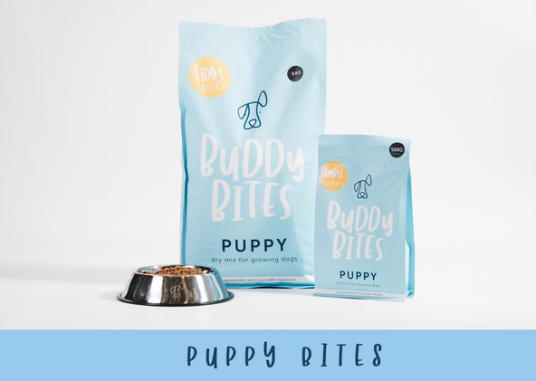 About – Buddy Bites SG